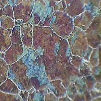 microstructure testing laboratory